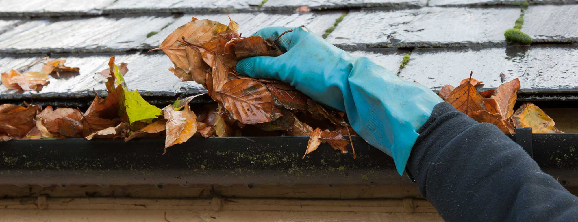 Gutter Clearance - TLC Window Cleaning
